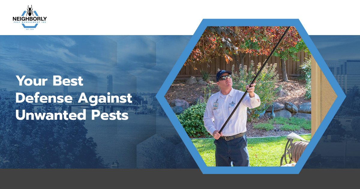 Roseville Pest Control | Neighborly Pest Management